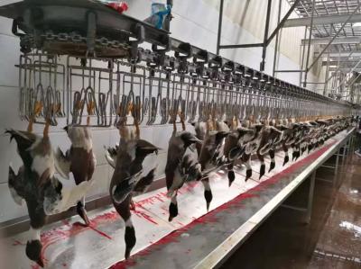 7.5KW Poultry Slaughtering Line Automatic HJ-TSSB 2480*1340*1480mm