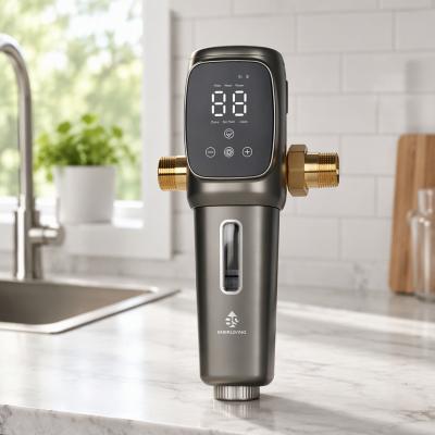 China Fully Automatic Whole House Water Prefilter with 40 Micron Precision Filtration and SUS 316L Stainless Steel Mesh for sale