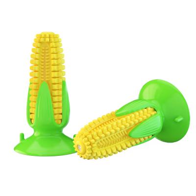 Cina Hot Selling Dogs Toothbrush Oral Chew Cleaning Toy Pet Toothbrush Stick Pet Toys in vendita