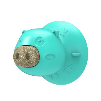 Cina Hot Selling Custom Pet Chew Toys Cat Toys Teeth Cleaning Multifunction Catnip Toys in vendita