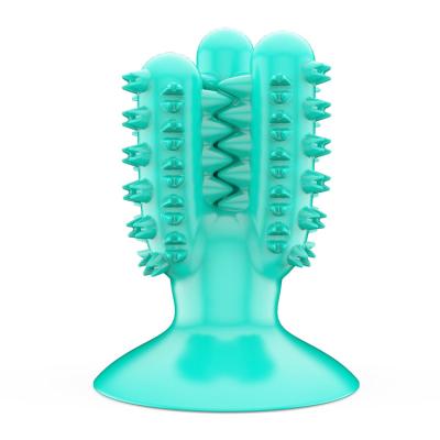 Cina High Quality Dog Chew Toys Cactus Shape Dog Toothbrush Pet Suction Cup Toys For Pet in vendita