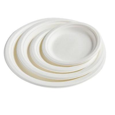 Chine Plaque jetable pratique pour les fournitures de bon anniversaire à vendre