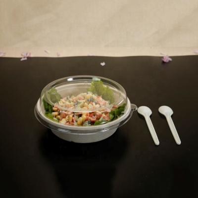 Chine Cuvette de salade de soupe de pâte de bagasse écologique avec couvercle de différentes tailles et options de couvercle à vendre