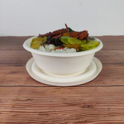 Chine Éco-friendly disposable dégradable de la canne à sucre Bagasse poudre de salade avec couvercle entièrement payé à vendre