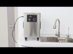 Water Treatment Ozone Generator 3G 10G with Intelligent Control Panel and Reverse Osmosis Filter