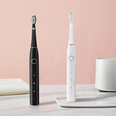 중국 호리호리한 가지고 다닐 수 있는 음 자동 칫솔 500mAh 마모 저항자 판매용