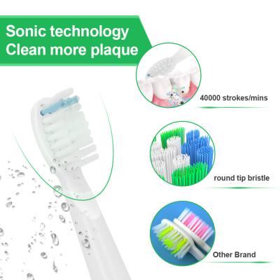 중국 호리호리한 가지고 다닐 수 있는 음 자동 칫솔 500mAh 마모 저항자 판매용