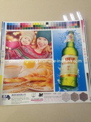 China Printing Speed 150m/mim Flexible Package Printing Machine Diameter of Web Roller 100mm for sale