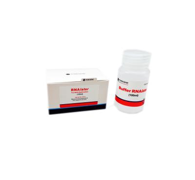 Cina soluzione di protezione di RNAlater dei corredi di isolamento del RNA di 50ml 100ml 100ml×4 per il campione di tessuto in vendita