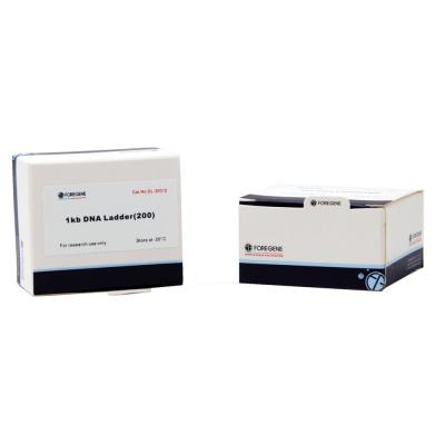 中国 DNAのマーカー2000 100電気泳動のための100bp-2000bpを詰めるテスト500 μL 販売のため