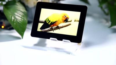 Cina luminosità a 7 pollici 800cd/M2 dell'esposizione del touch screen di 1024x600 TFT LCD in vendita