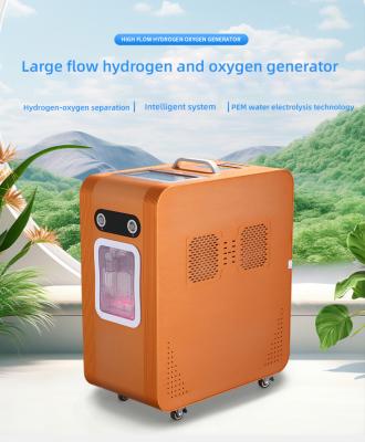 AC220V Hydrogen Oxygen Inhaler Hydrogen Inhaling Machine 3000ml/M