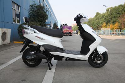 60V20AH 지도 산 DC 무브러시 모터 전기 발동기 달린 자전거 스쿠터 1600w