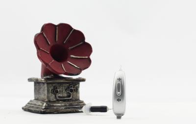 Cina Audifonos Apparecchi acustici da banco per anziani Caricabatterie portatile Amplificatore acustico digitale in vendita