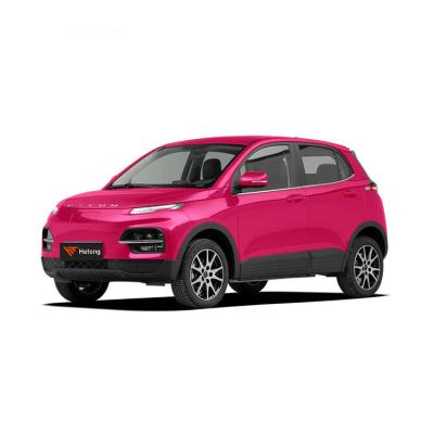 China DAYUN M1 Energievoertuigen Elektrische auto Volwassen auto Luxe 2023 Yuehu ES3 300km Long Range EV Te koop