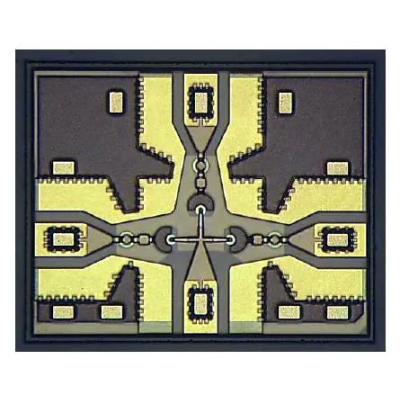 Cina MASW-003103-13640G in vendita