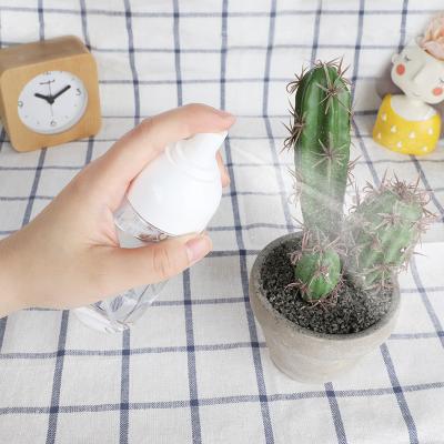 Cina Chiara bottiglia facciale di plastica rotonda 120ml 180ml della foschia di PETG con lo spruzzatore della pompa in vendita