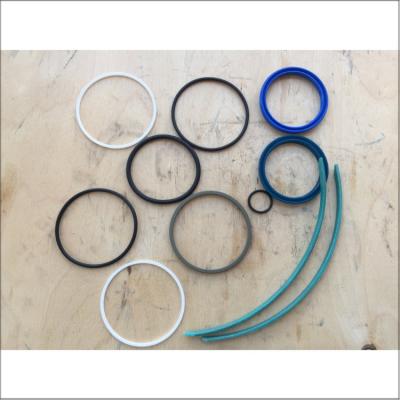 Cina Kit di sigillamento Silver Rexroth CDT3.063/045TZ20/Z30 Sigillamento ad alta compatibilità in vendita