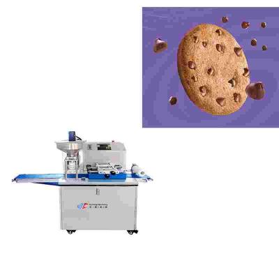 Cina Biscotto industriale matto che produce i biscotti della macchina 100g che fabbricano macchina in vendita