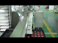 Sliced Cookies Encrusting Machinery 100g Biscuit Manufacturing Machine