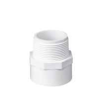 China STANDARD Thickness PVC Pipe Fitting for Pool White Round Head NPT BSP BSPT Thread Type for sale