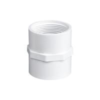 China STANDARD Thickness PVC Pipe Fitting for Pool White Round Head NPT BSP BSPT Thread Type for sale