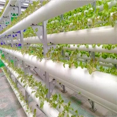 China 1/2"-12" Diameter White Color 90mm 110mm PVC Pipe for Hydroponics Lettuce Plant for sale