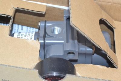 중국 계측기와 67cfr20650 규제 기관 대조조차 1/4IN NPT 0-35PSI 맥스 250PSI의 피셔. 판매용