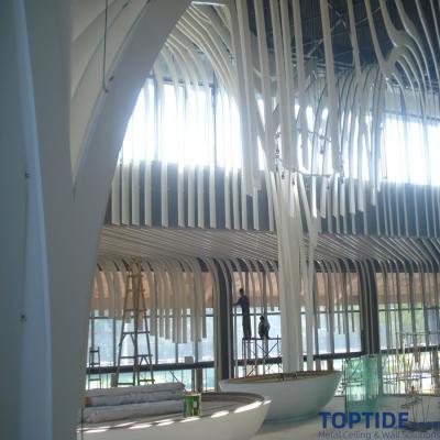 Cina Pannelli lineari architettonici interni curvi della plancia del sistema del soffitto del deflettore su misura alluminio in vendita