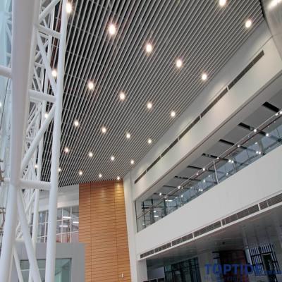 Cina Parete di legname del deflettore di profilo e bordo della copertura del soffitto adattati plancia su misura istituto universitario per l'aeroporto in vendita