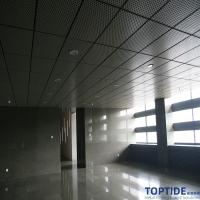 China Large Size External Decorative Perforated Customized Ceiling Aluminium Ceiling Cladding For Building Materials for sale