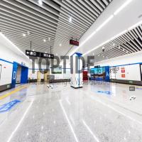 China Custom Made Metal Suspended Linear Aluminium Drop Down Ceiling Grid for sale