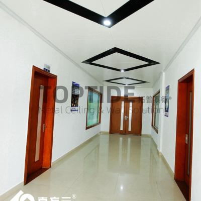 Cina Il colore di buona qualità 3D ha stampato il controsoffitto decorativo interno amichevole di Eco in vendita