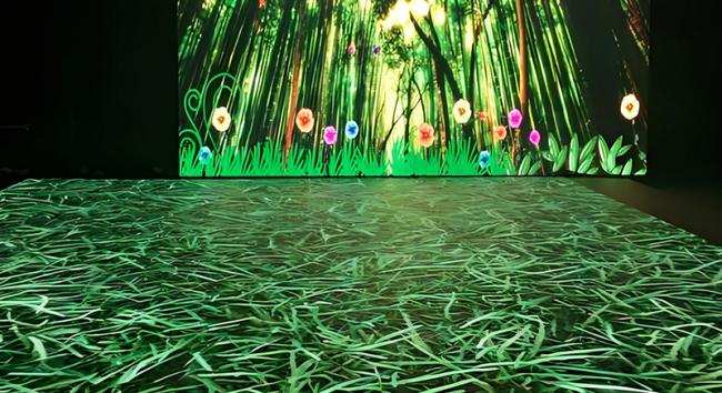led floor display