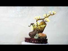 Potted plant lamp