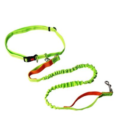 China Long Rope Nylon Webbing Reflective Safty Belt Pet Dog Leash for sale