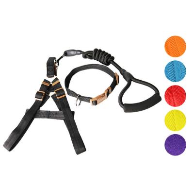 China Fashion Colorful Pet Supplies Dog Harness And Dog Collar With Leash  Rope for sale