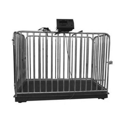 Cina 220V operazione facile elettronica di capacità delle bilance 500KG del bestiame di CC di CA 9V in vendita
