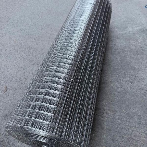 Quality 3/4 Inch 19 Gauge 304 Ss Welded Wire Mesh Roll For Gutter Guard for sale