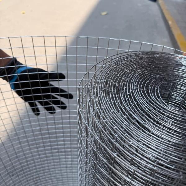 Quality 3/4 Inch 19 Gauge 304 Ss Welded Wire Mesh Roll For Gutter Guard for sale