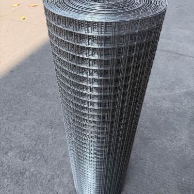 China 304  Garden Trellis Square Wire Mesh Roll 5/8 Inch 19 Gauge for sale