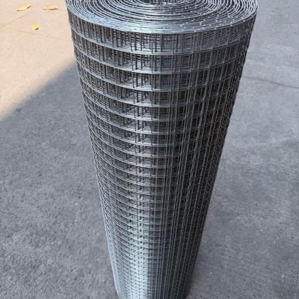 Quality 304  Garden Trellis Square Wire Mesh Roll 5/8 Inch 19 Gauge for sale