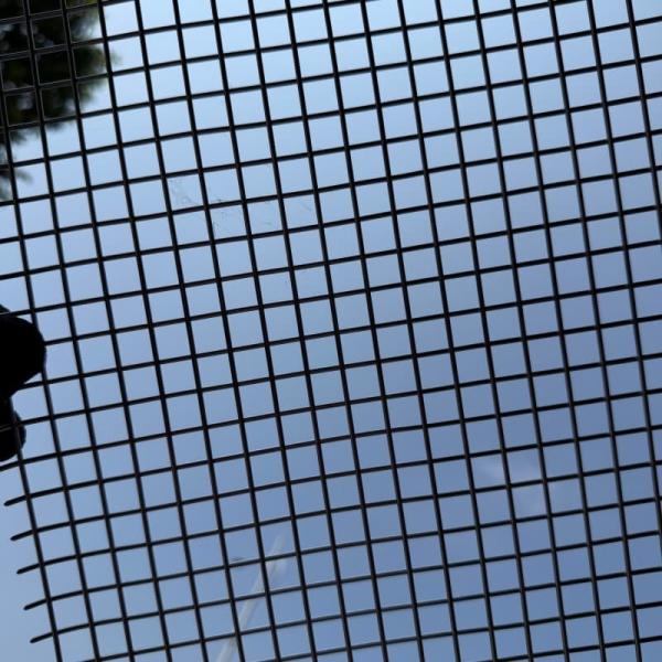Quality 304 Garden Trellis Square Wire Mesh Roll 5/8 Inch 19 Gauge for sale