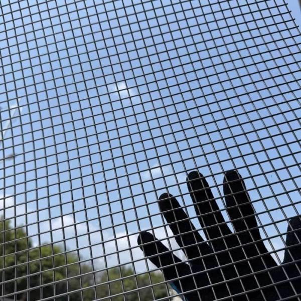 Quality Square Hole 1/2 Inch 20 Gauge 316 Stainless Welded Screen For Bird Aviary for sale