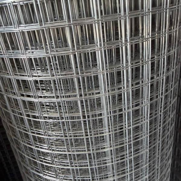 Quality Welded Wire Mesh Roll 3/8 Inch 20 Gauge 304L For Crawl Space Ventilation Cover for sale