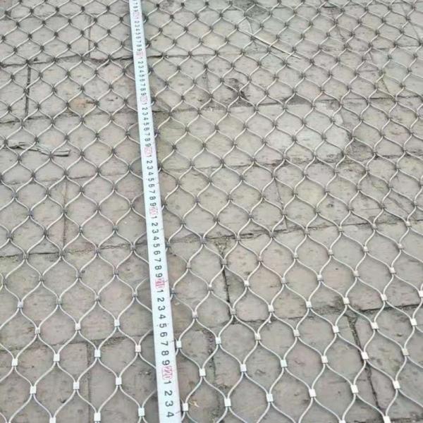 Quality Greening Compatible Wire Cable Mesh With Plant Friendly Surface for sale