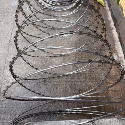 China Hot-Dip Galvanized Flat Razor Wire / Anti-Climb Coil for Residential Wall for sale