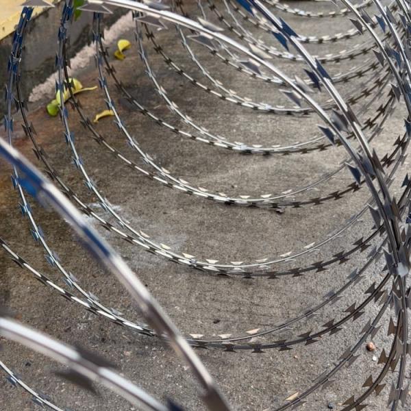 Quality Hot Dip Galvanized Blade Barbed Concertina Razor Wire Extra Long Life Coil For Oil Refinery for sale