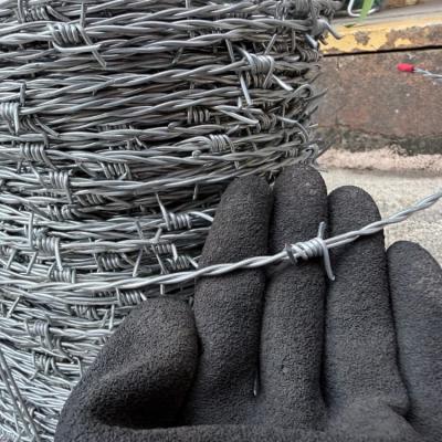 China Reverse Twist Barbed Wire 14 X 14 BWG Galvanized Double Strand Prison Fence 4 Inch Barb for sale