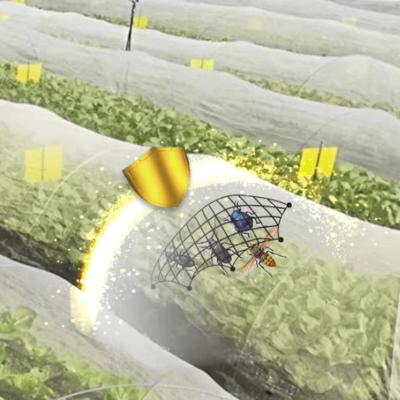 China Polyethylene Woven Anti Aging Insect Netting For Long Term Farm Using for sale
